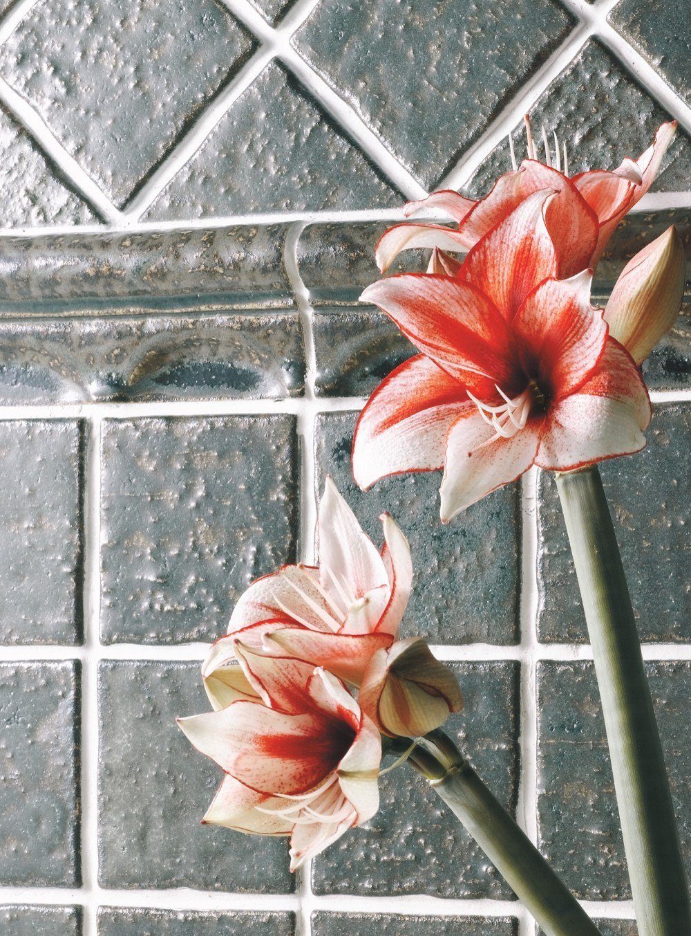 Cepac Porcelain Mosaic Tiles, Frost Proof/Acid Resistant, Heritage, Mu ...